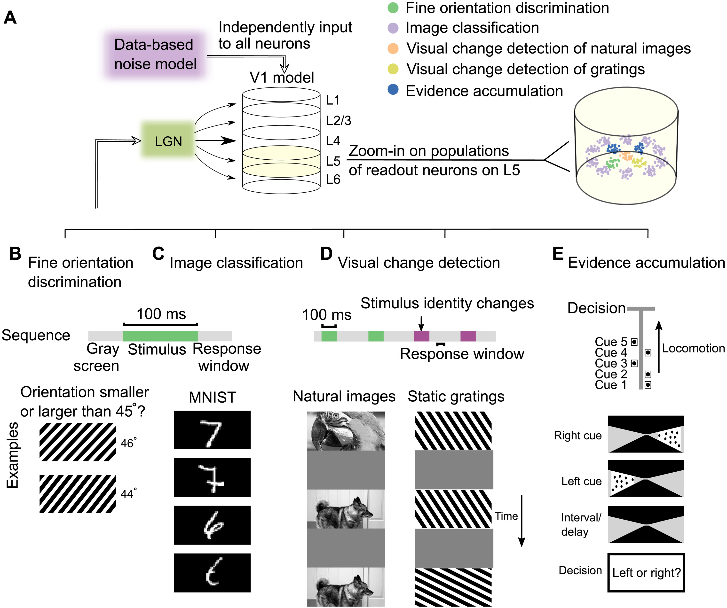 A data-based large-scale model for primary visual cortex enables brain-like robust and versatile ...